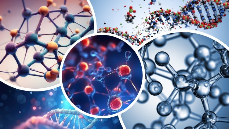 Certificate in Biological molecules - StudyBullet.com